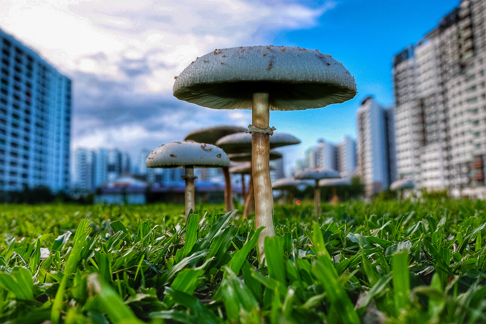 Starting afresh – KeithWee | Photography