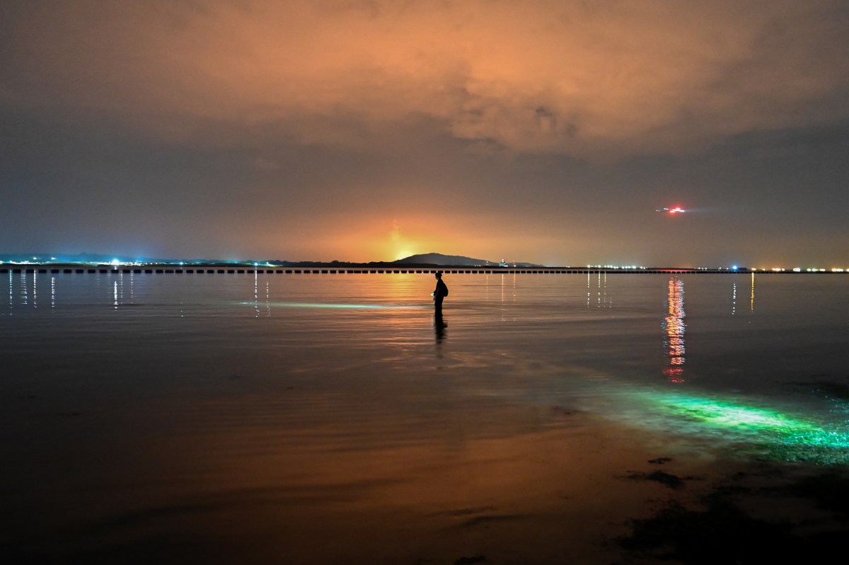 Exploring the intertidal zone – a visual diary with the Nikon Z6 II ...